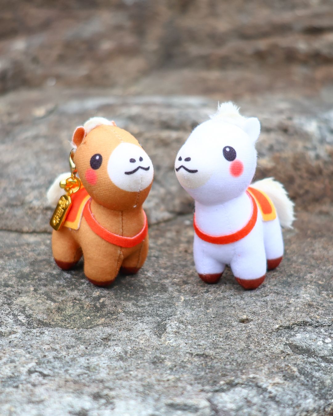 psx_20250319_222743604267648509763458.jpg | 諫早神社（九州総守護 四面宮） 諫早神社（九州総守護 四面宮）