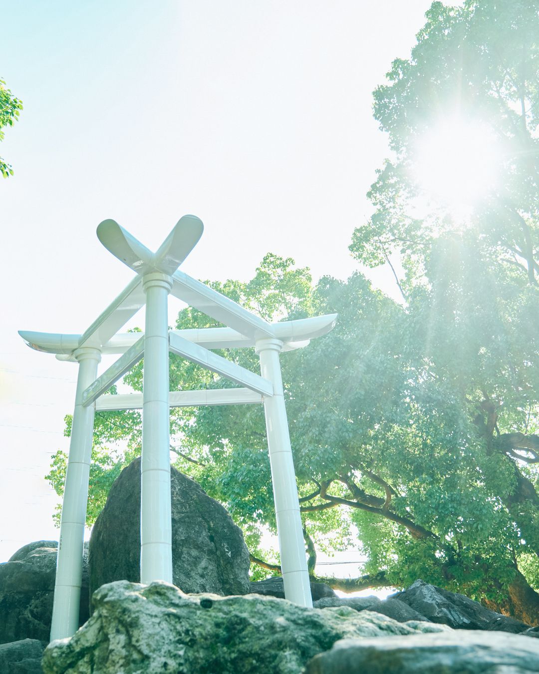 psx_20250822_2113302745718875370371952.jpg | 諫早神社（九州総守護 四面宮） 諫早神社（九州総守護 四面宮）